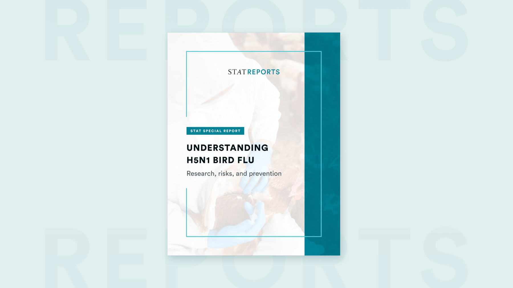 Reports | STAT Reports